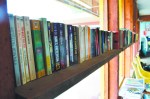 Lyons local gives laundromat new life, little library | MMAC Monthly